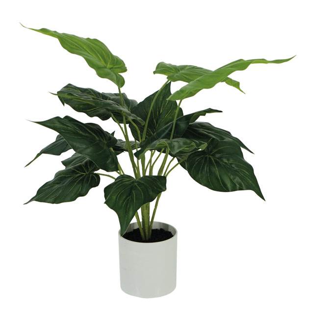 ΦΥΤΟ ΑΛΟΚΑΣΙΑ ΠΡΑΣΙΝΗ REAL TOUCH ΣΕ ΚΑΣΠΩ – Υ40cm - Prasinos Elefantas